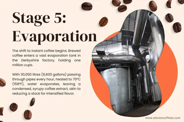 How Is Instant Coffee Made? (Amazing 9 Stage Process)