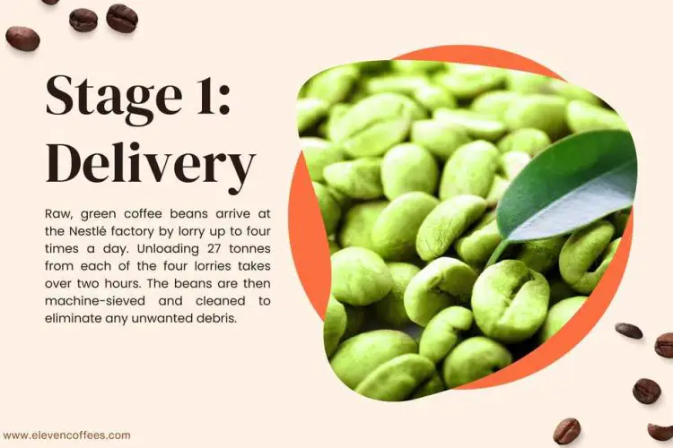 How Is Instant Coffee Made? (Amazing 9 Stage Process)