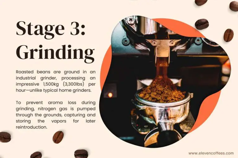 How Is Instant Coffee Made? (Amazing 9 Stage Process)
