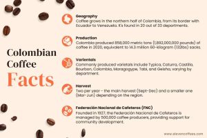 The Complete Guide to Colombian Coffee (The World's Best)