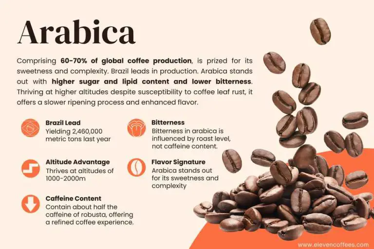 What Are the Differences Between Arabica, Robusta & Liberica Coffee Beans?