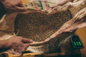 What is the Coffee Production Process?