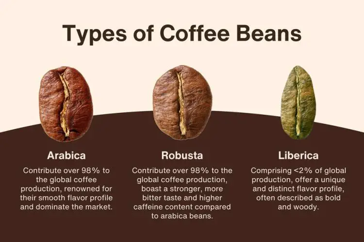 What Are the Differences Between Arabica, Robusta & Liberica Coffee Beans?